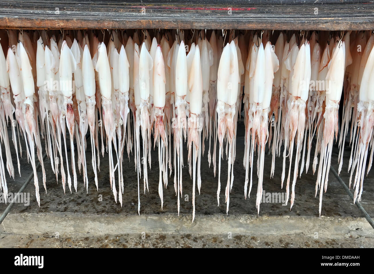 Squid hanging to dry in the sun Stock Photo - Alamy