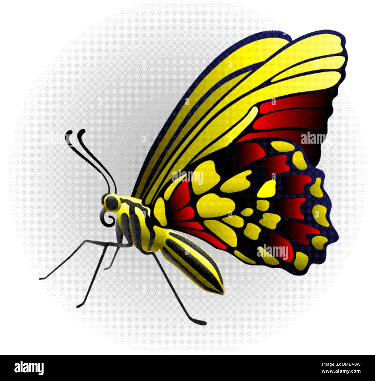 Blue butterfly on leaf Stock Vector Images - Alamy