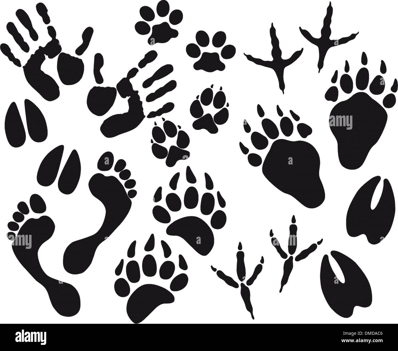 Animation stand Cut Out Stock Images & Pictures - Alamy