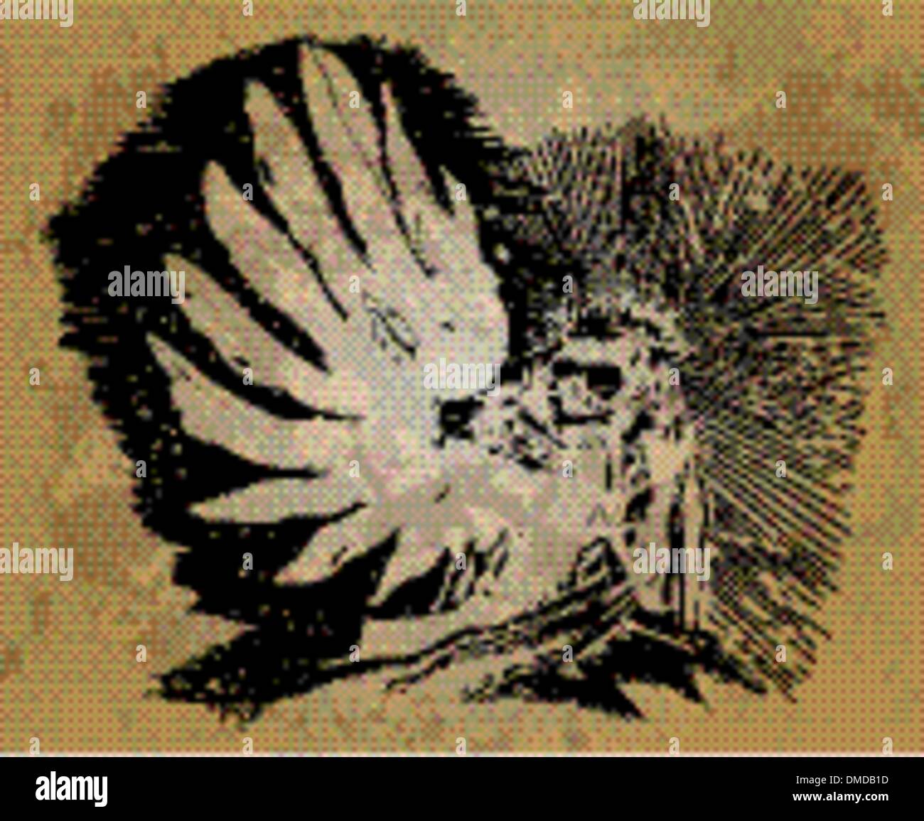 Scary man in skeleton halloween Stock Vector Images - Alamy