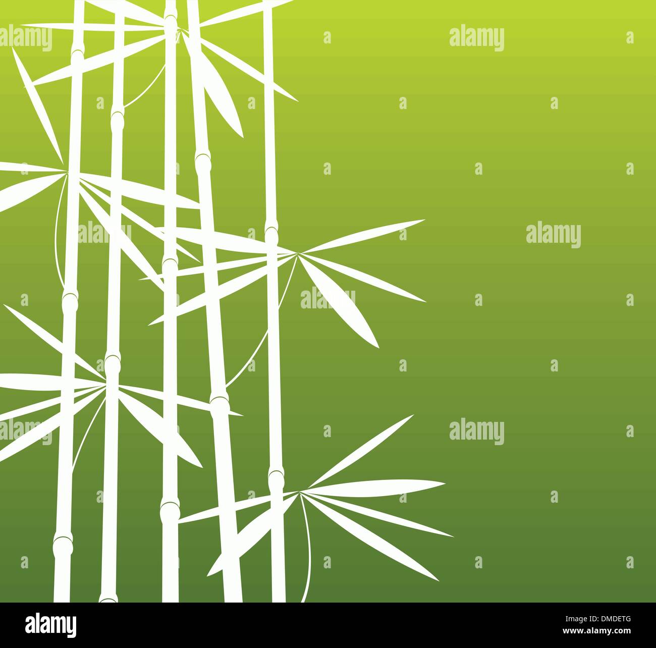 bamboo, vector illustration Stock Vector Image & Art - Alamy