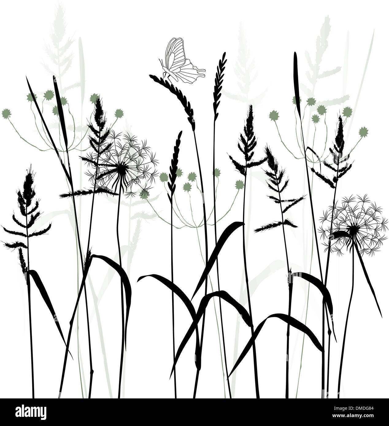 The Meadow In Summertime, plant vector Stock Vector Image & Art - Alamy