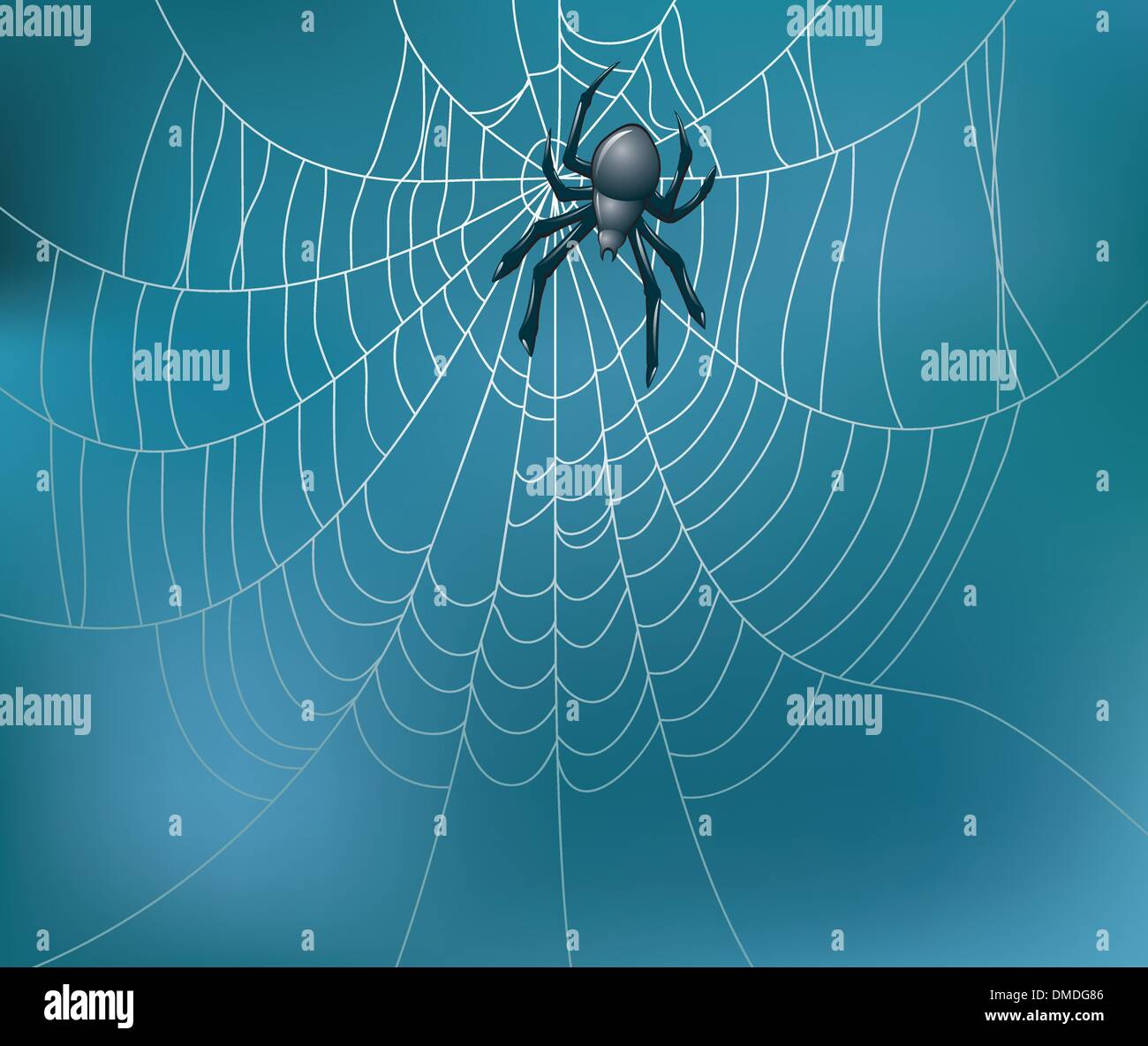 vector spider and web Stock Vector Image & Art - Alamy