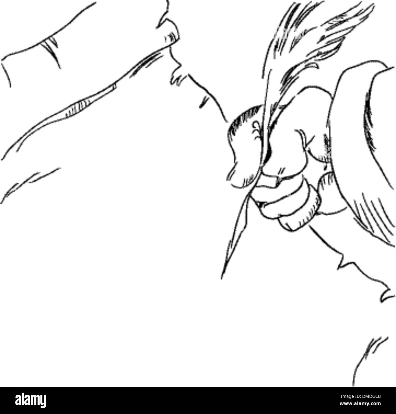 Quill vintage document on Stock Vector Images - Alamy