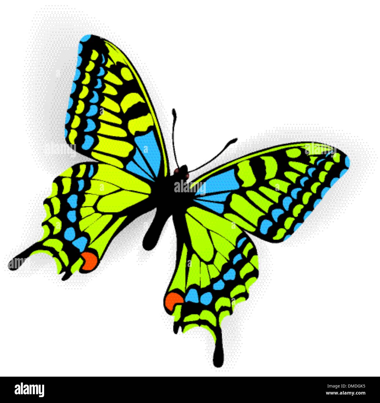 Butterfly Vector Illustration Stock Vector Image & Art - Alamy