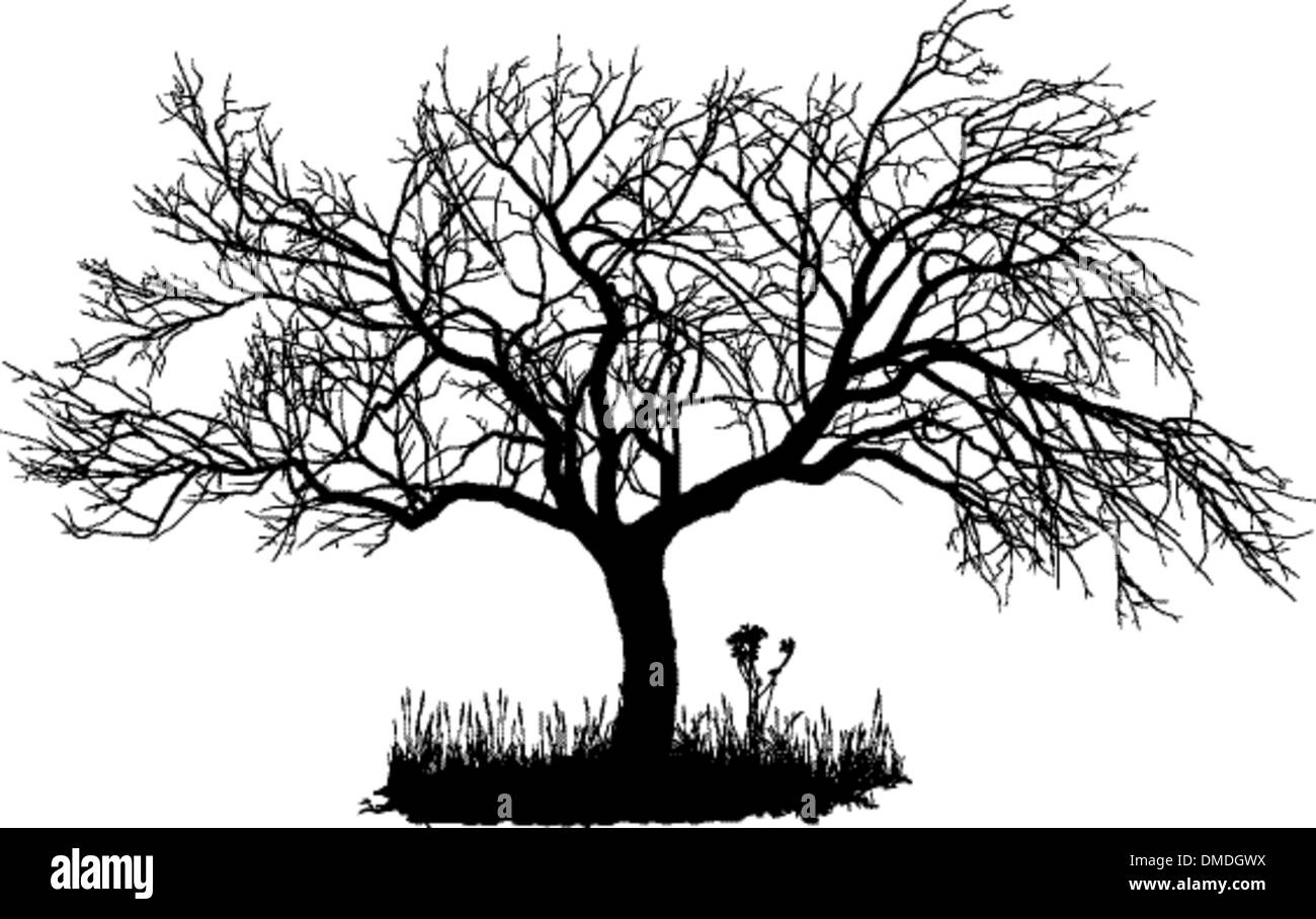 Apple orchard harvest Stock Vector Images - Alamy