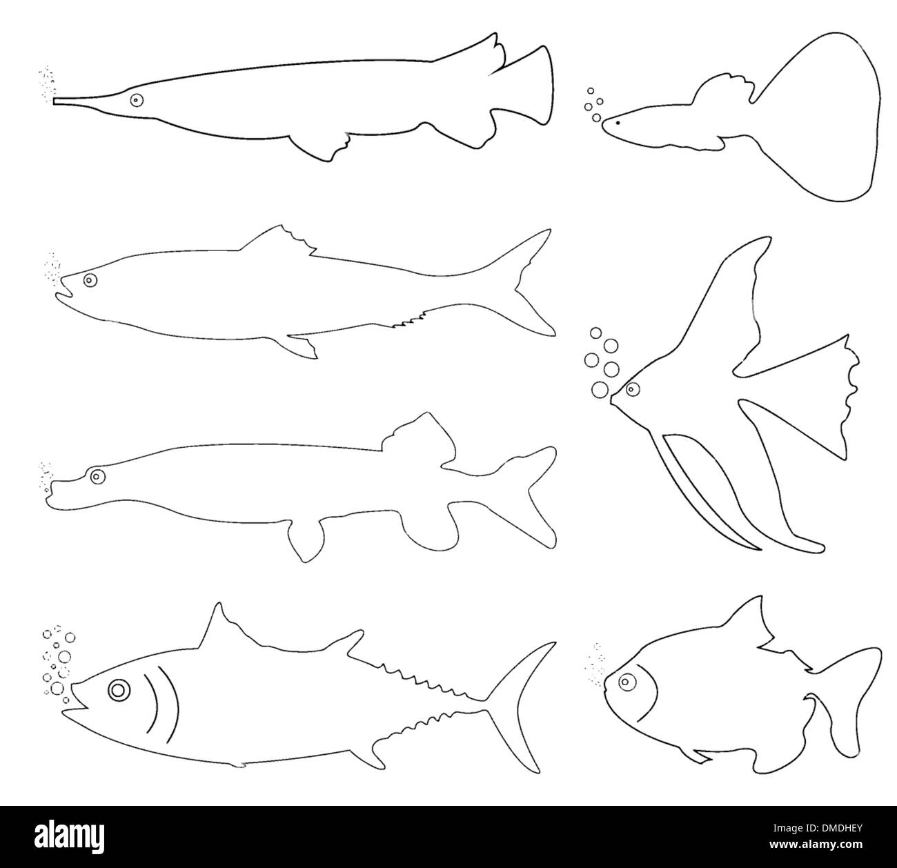 Silhouette of white fish Stock Vector Image & Art - Alamy