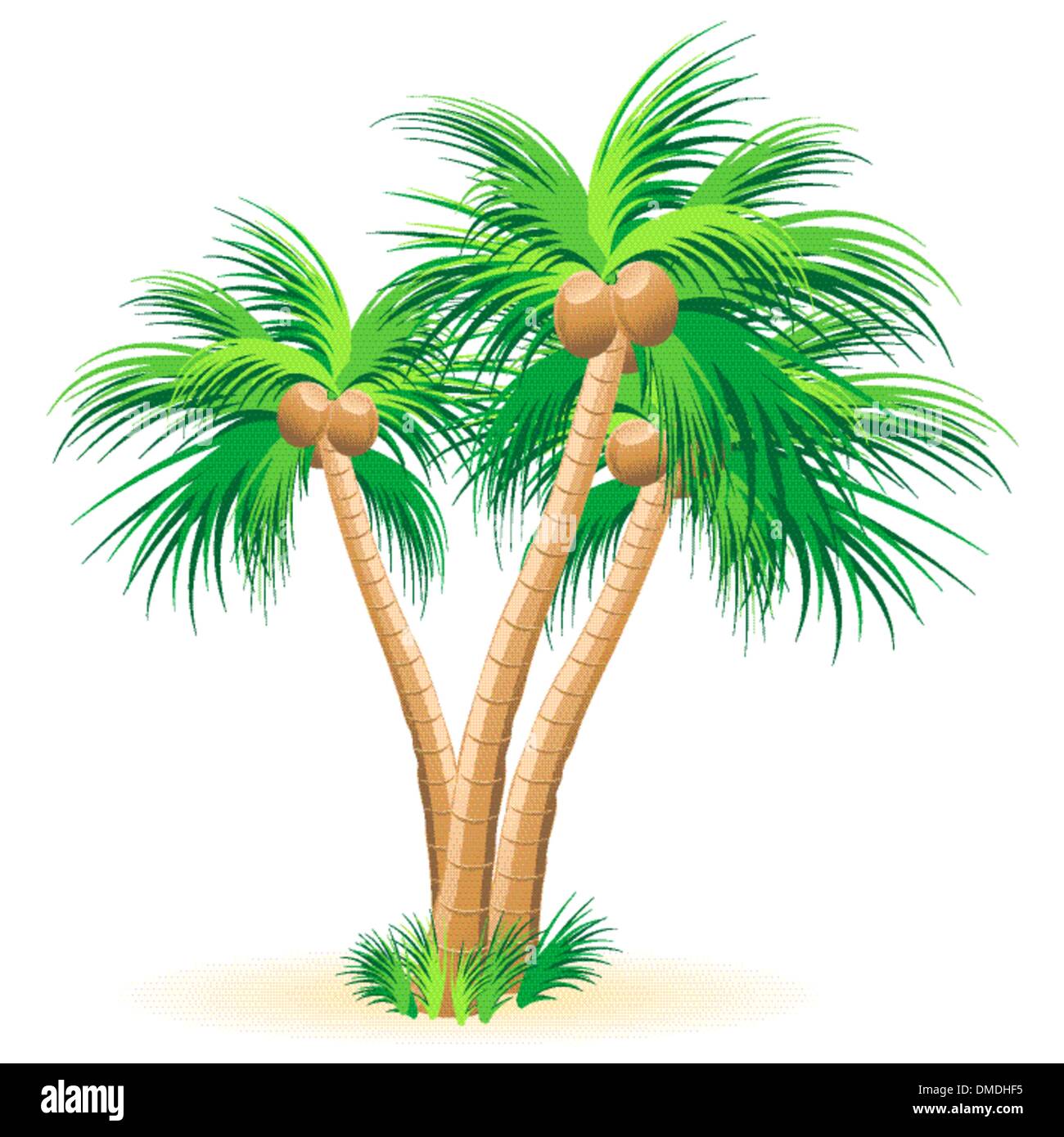Tropical palm trees Stock Vector Image & Art - Alamy