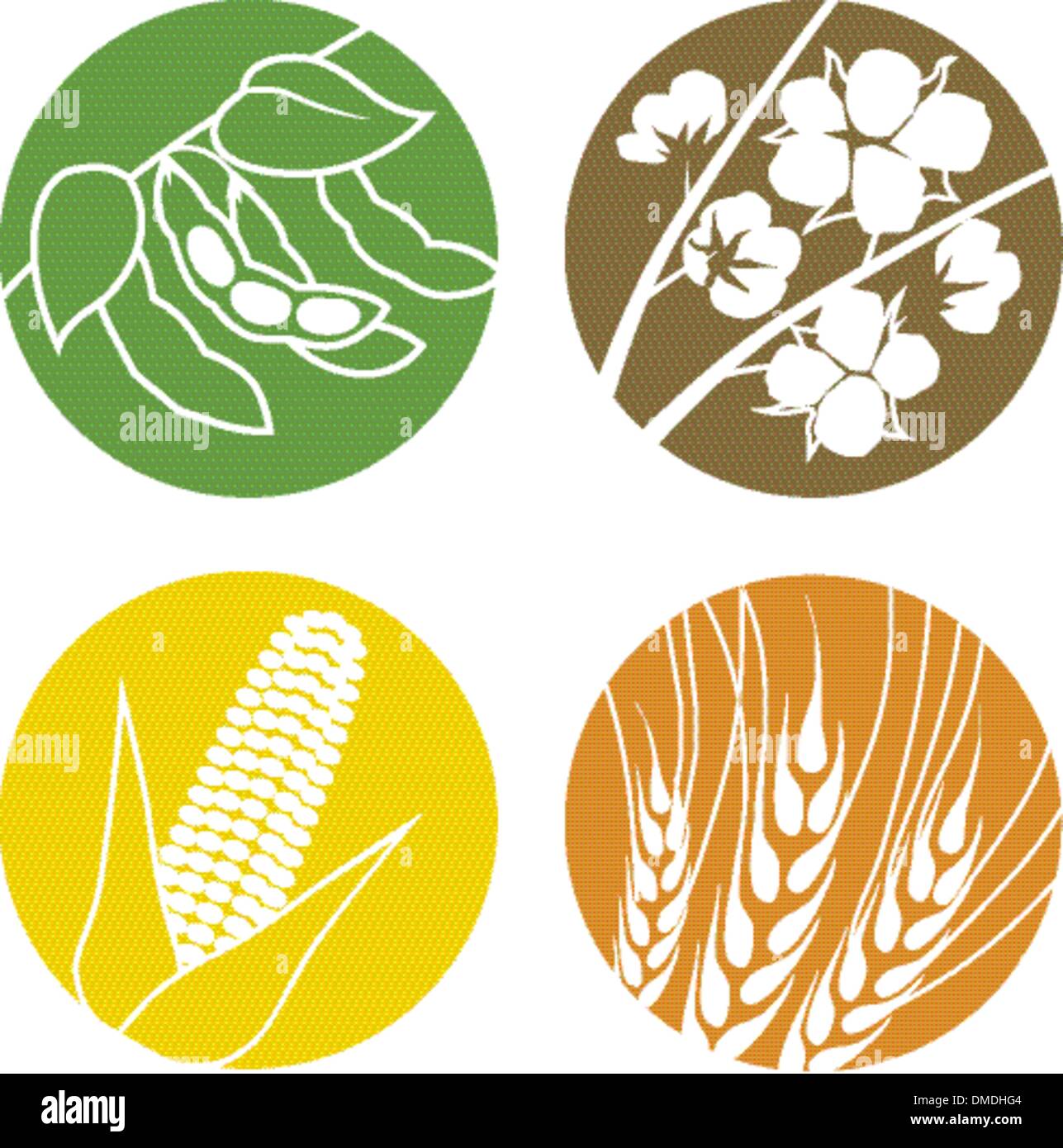 Green soybeans Stock Vector Images - Alamy