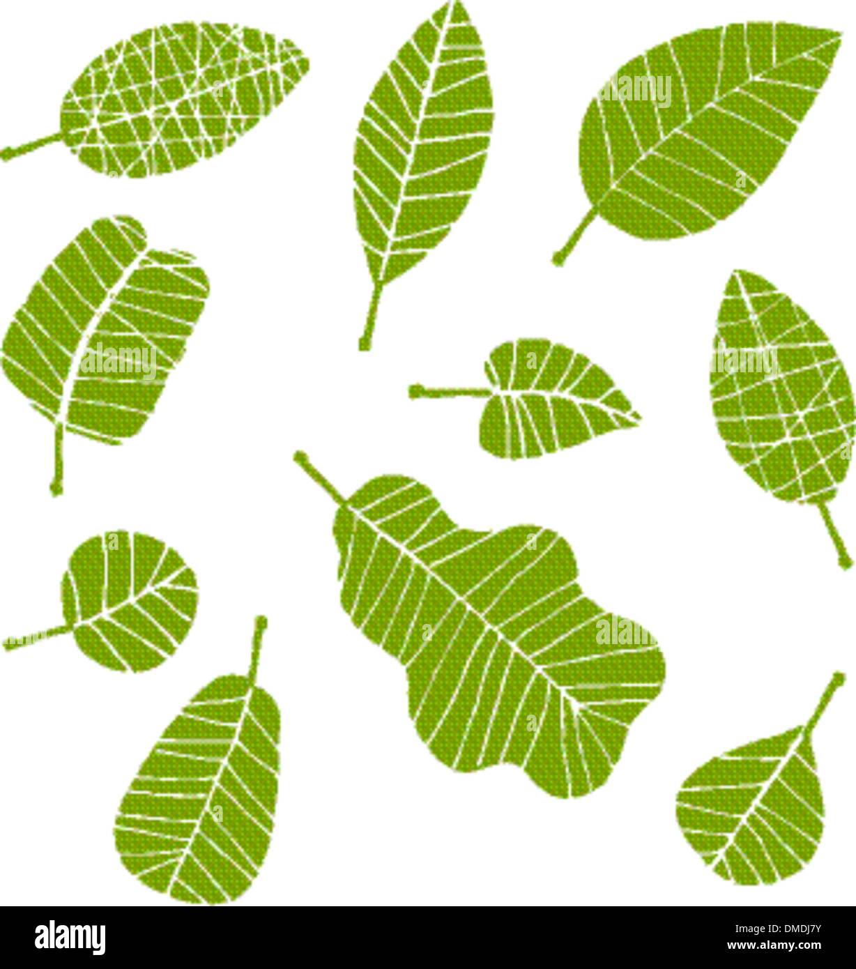 Set of leaf sketch for you design Stock Vector Image & Art - Alamy