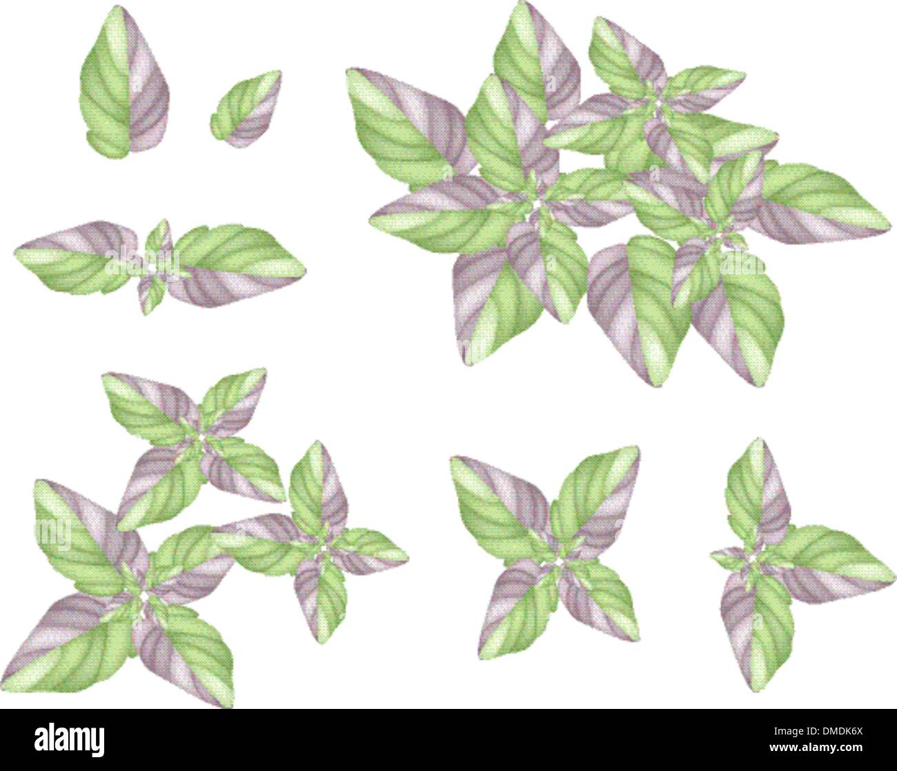 Plant on white background Stock Vector Images - Alamy