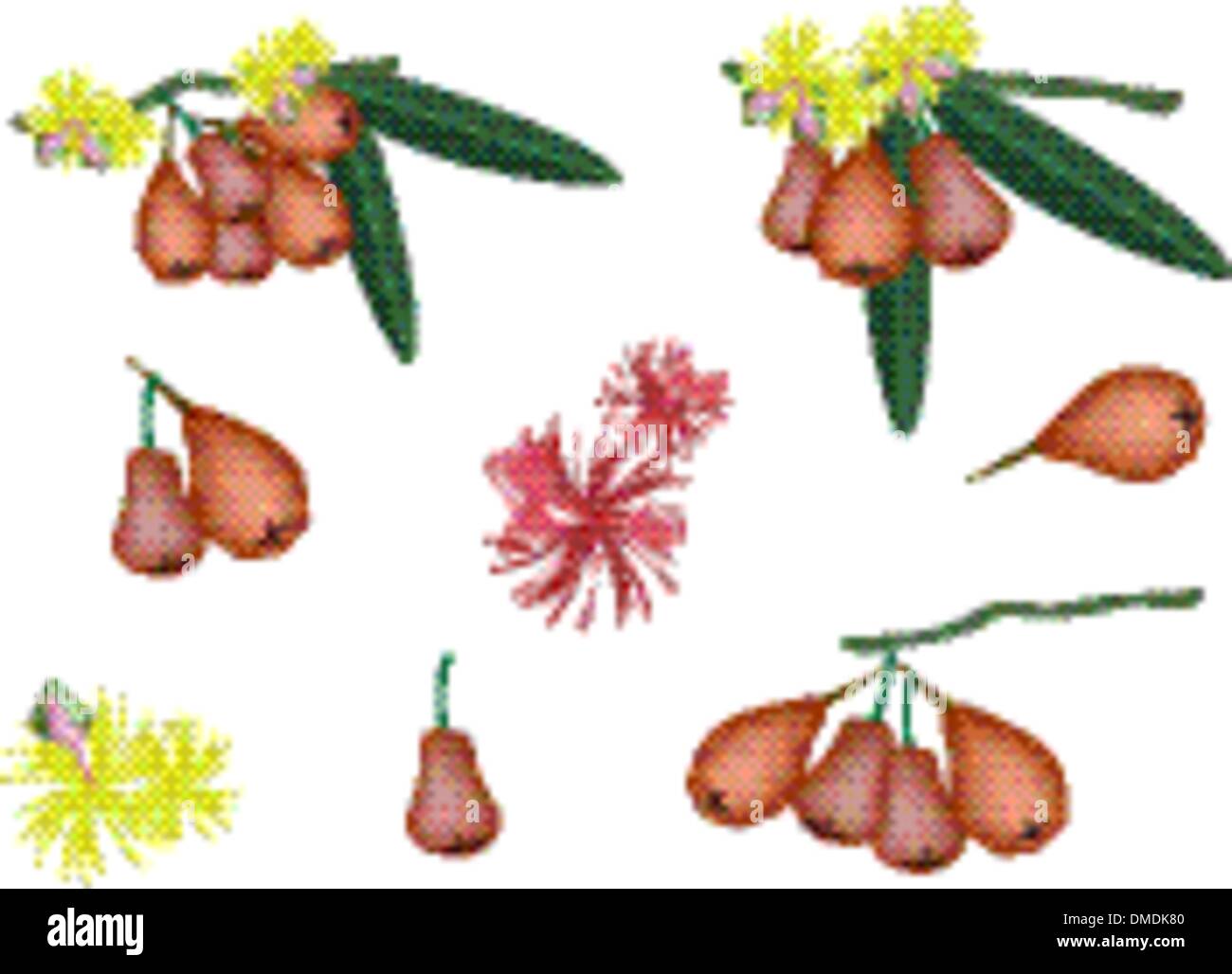 Red white blossom on Stock Vector Images - Alamy