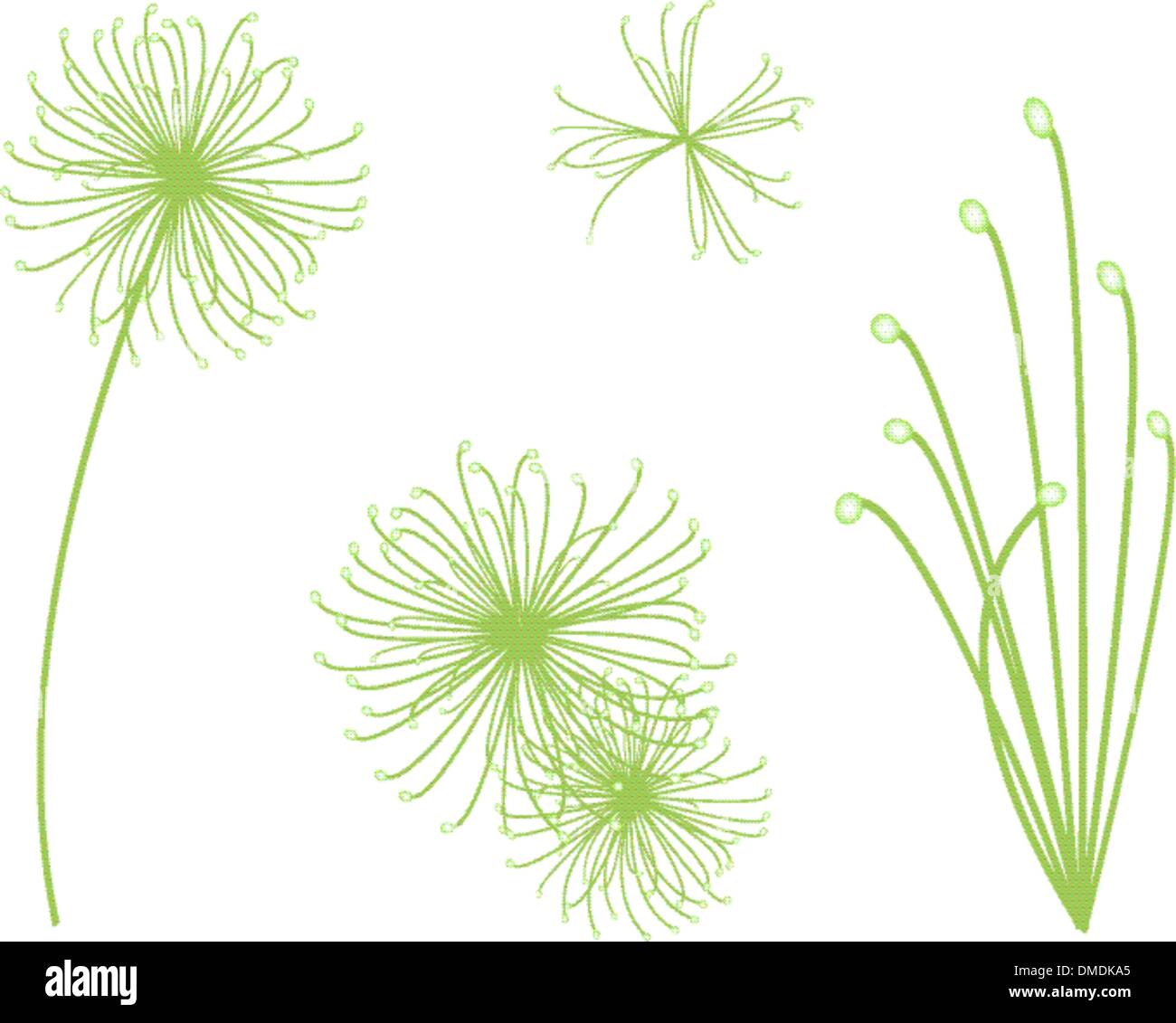Set of Cyperus Papyrus Plant on White Background Stock Vector Image ...