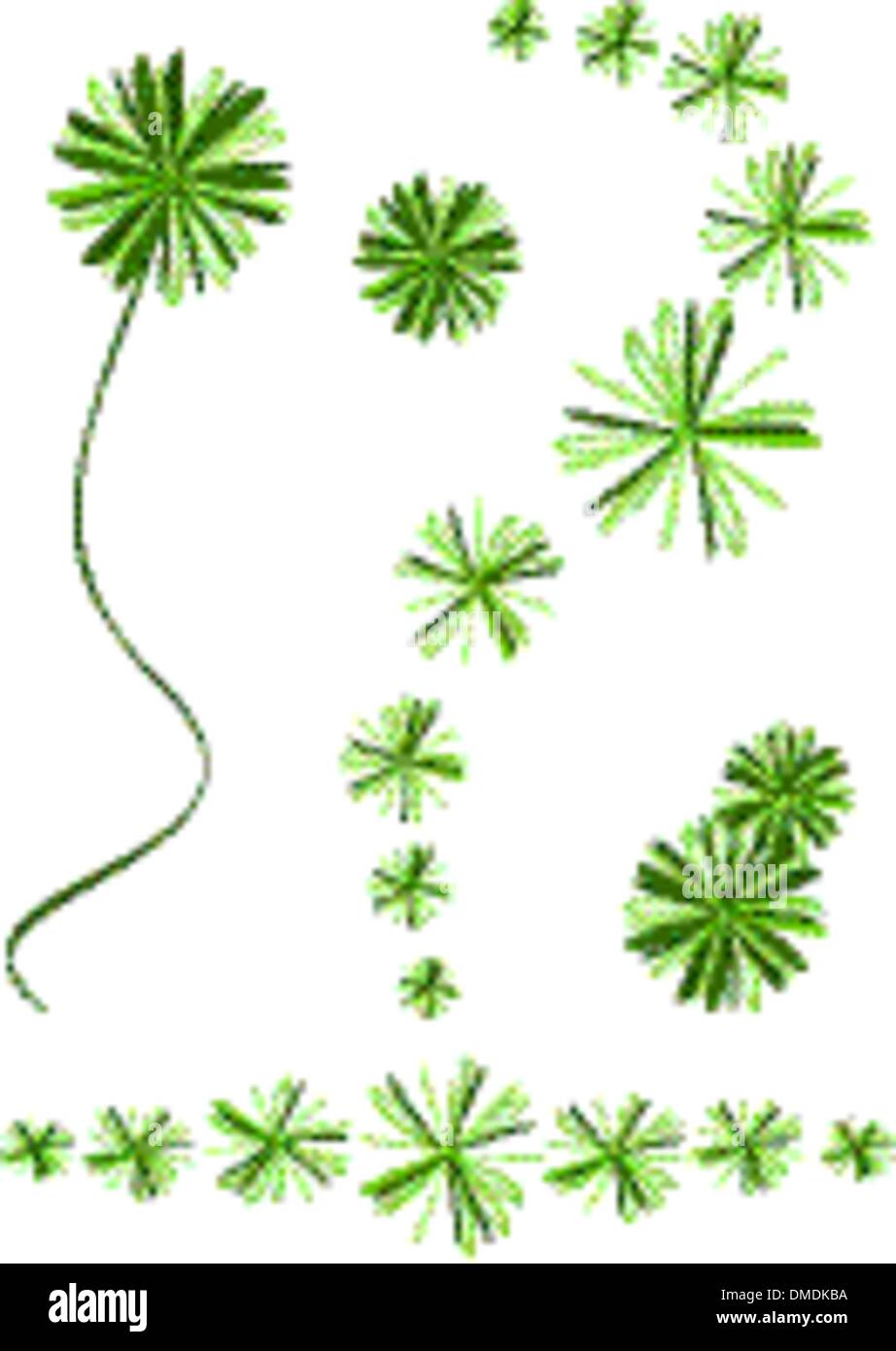 Foxtail fern Stock Vector Images - Alamy