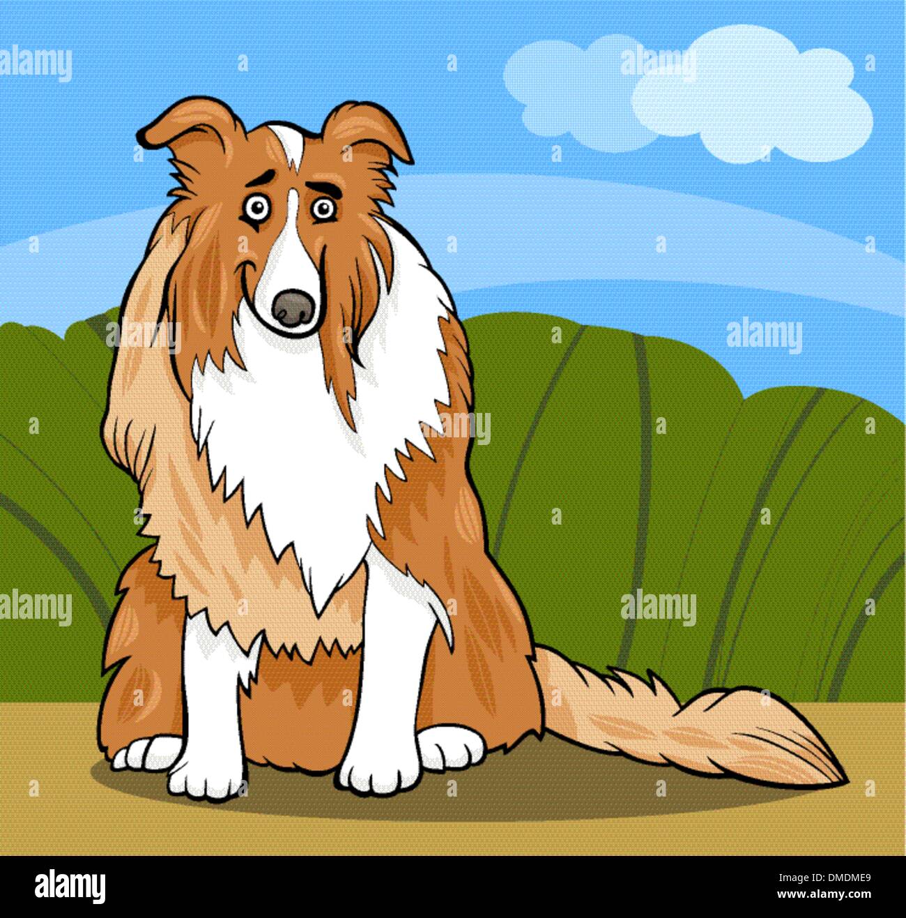 collie purebred dog cartoon illustration Stock Vector Image & Art - Alamy