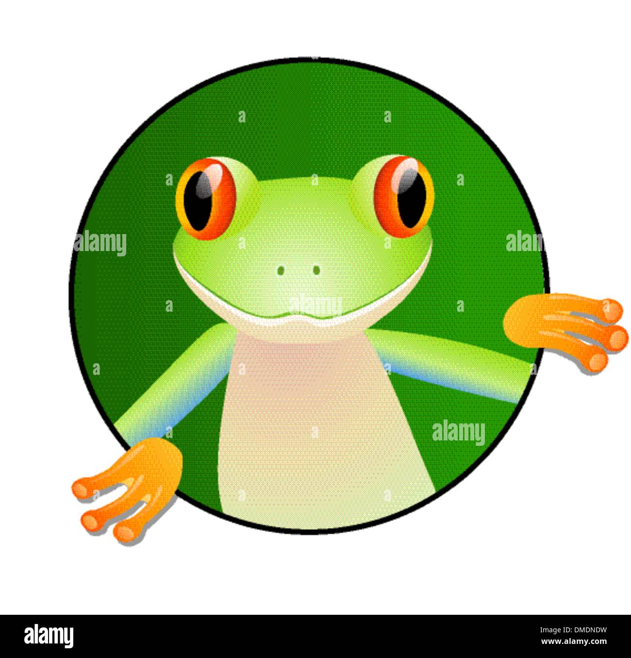 Frog rain forest tropical frog Stock Vector Images - Alamy