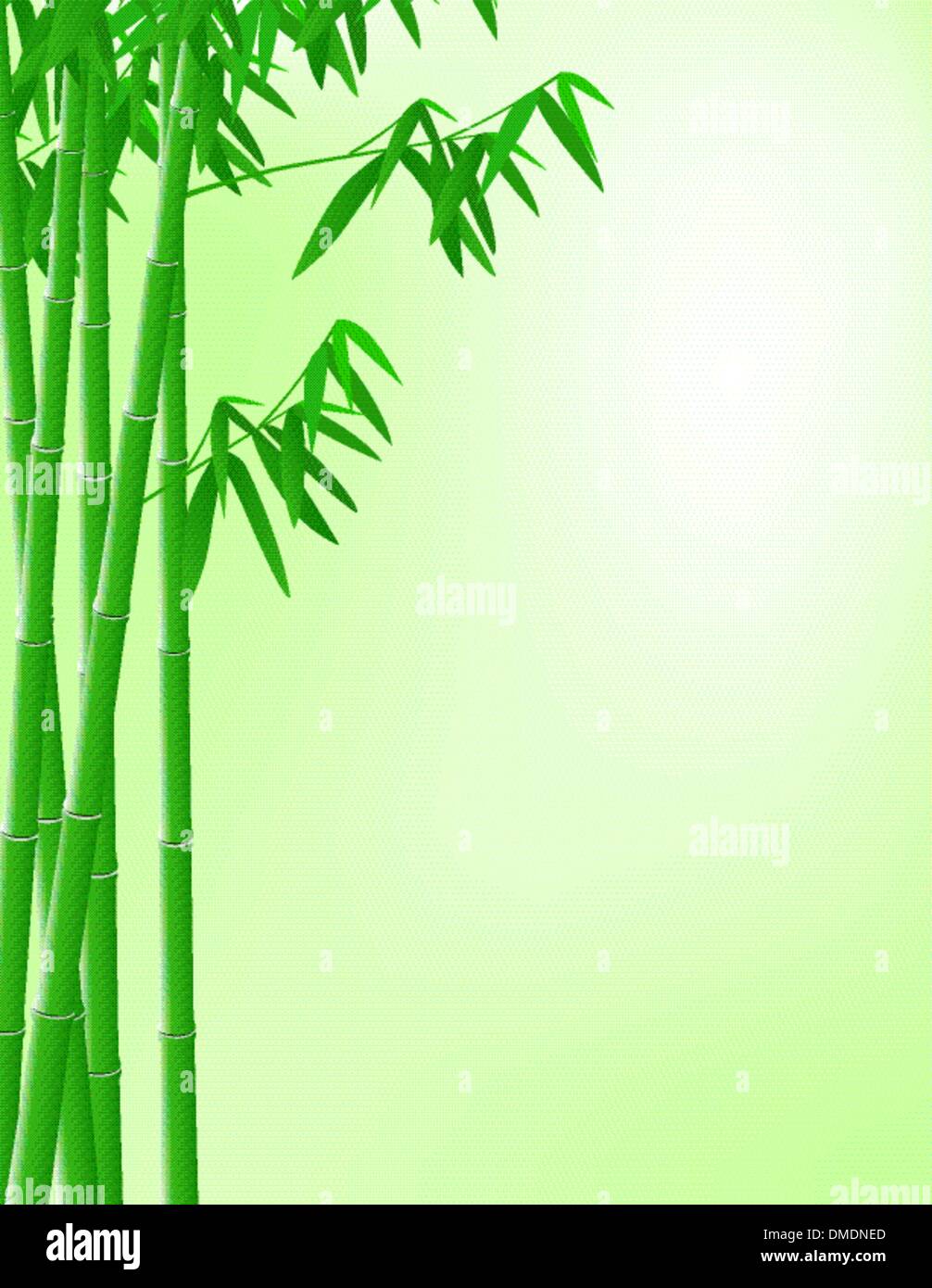 Bamboo grove and china Stock Vector Images - Alamy