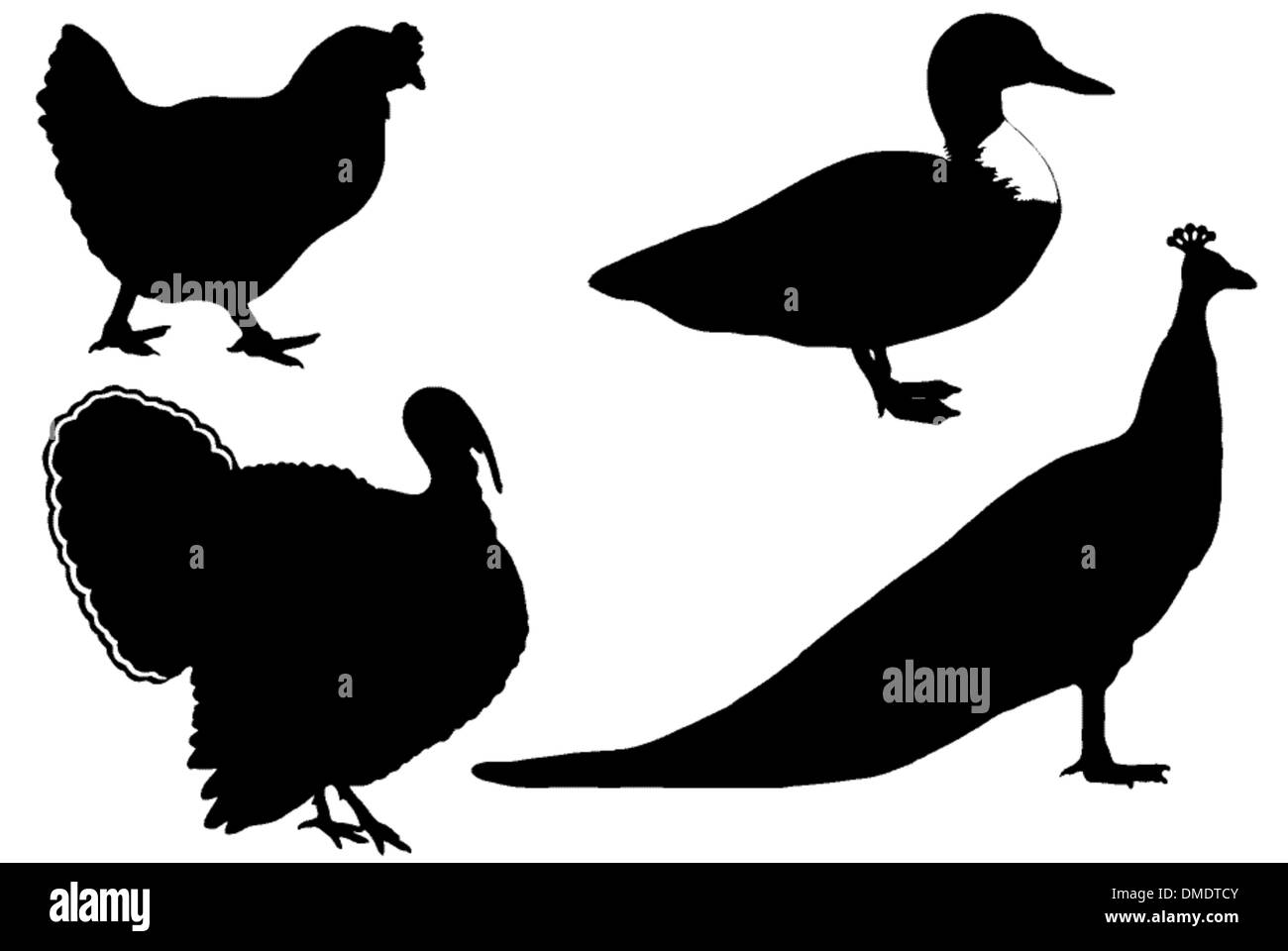 Collage hen Stock Vector Images - Alamy