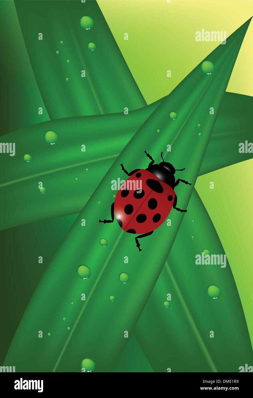 Beetle life Stock Vector Images - Alamy