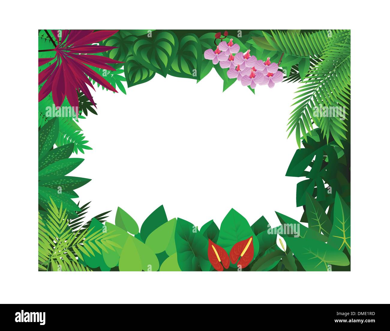 Nature forest flower Cut Out Stock Images & Pictures - Alamy