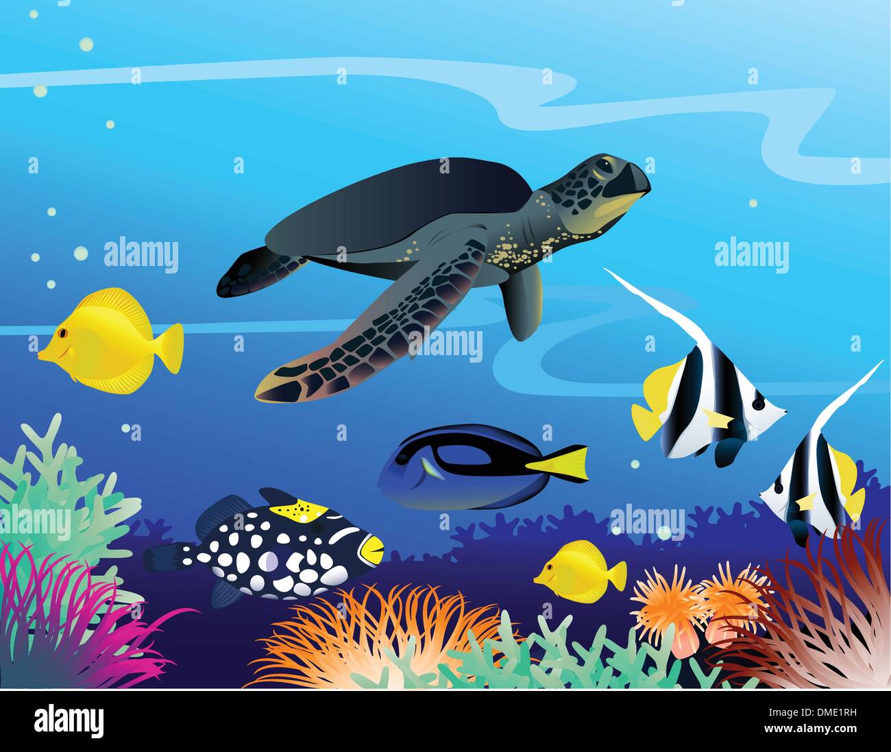 Colorful seaweed Stock Vector Images - Alamy