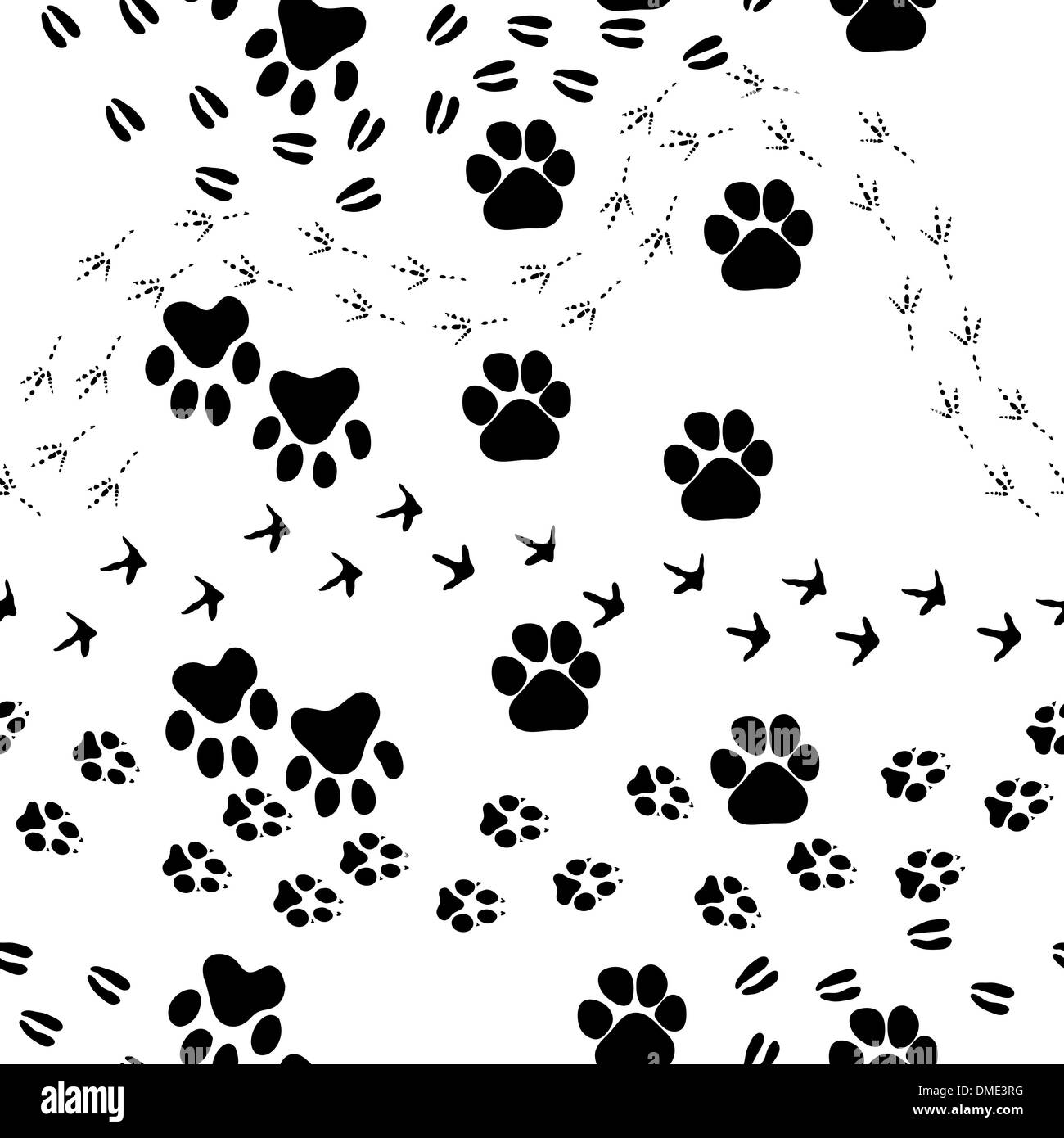 Animal footprint Black and White Stock Photos & Images - Alamy