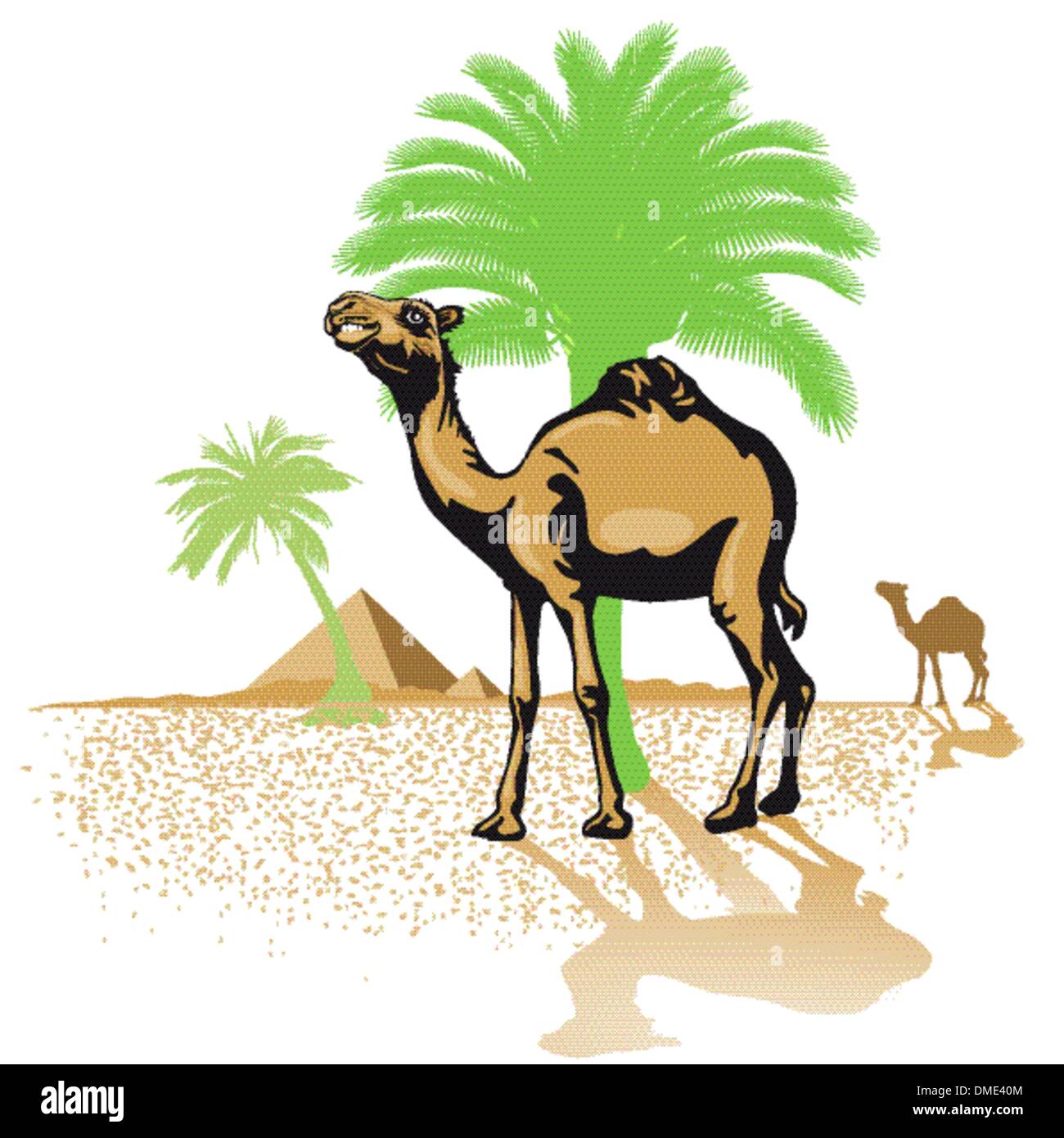 Sahara desert camel Stock Vector Images - Alamy