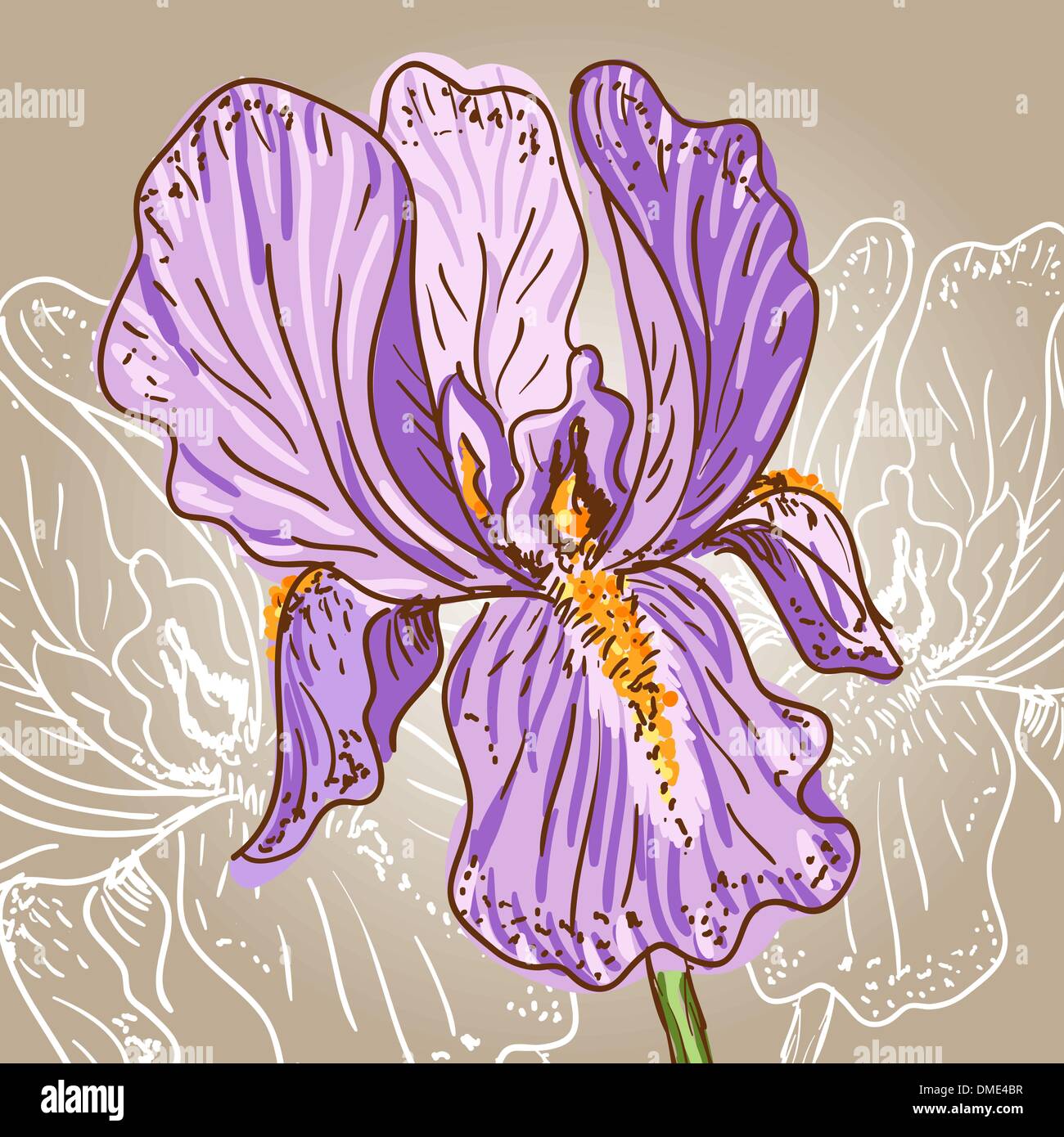 See iris Stock Vector Images - Alamy