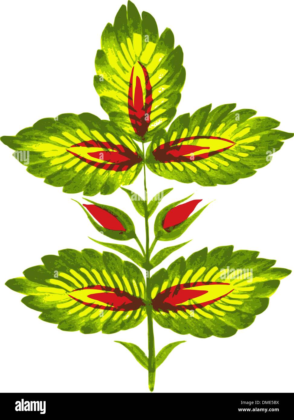 Flower and twig Stock Vector Images - Alamy