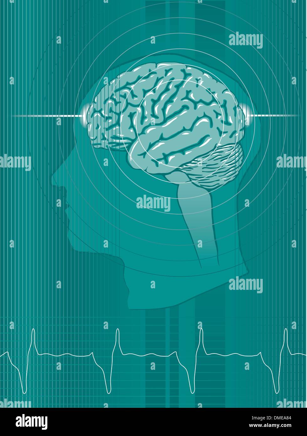 Human head with brain activity hi-res stock photography and images - Alamy