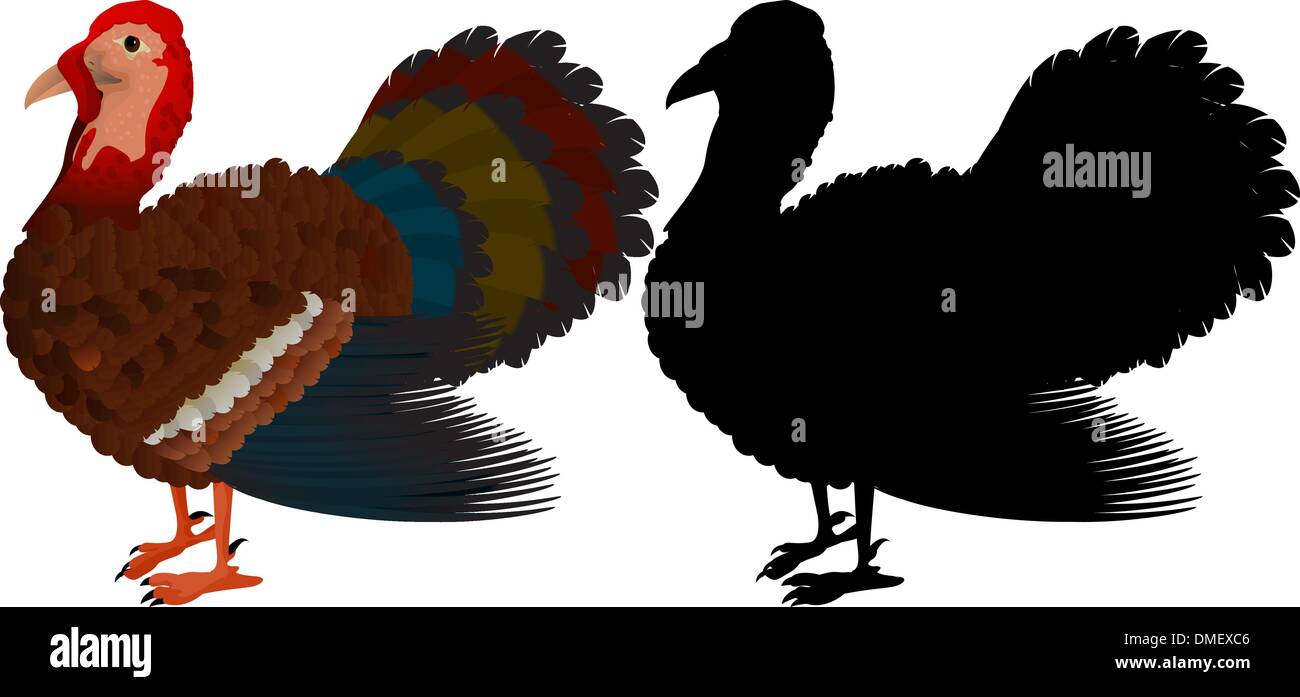Turkey body Stock Vector Images - Alamy