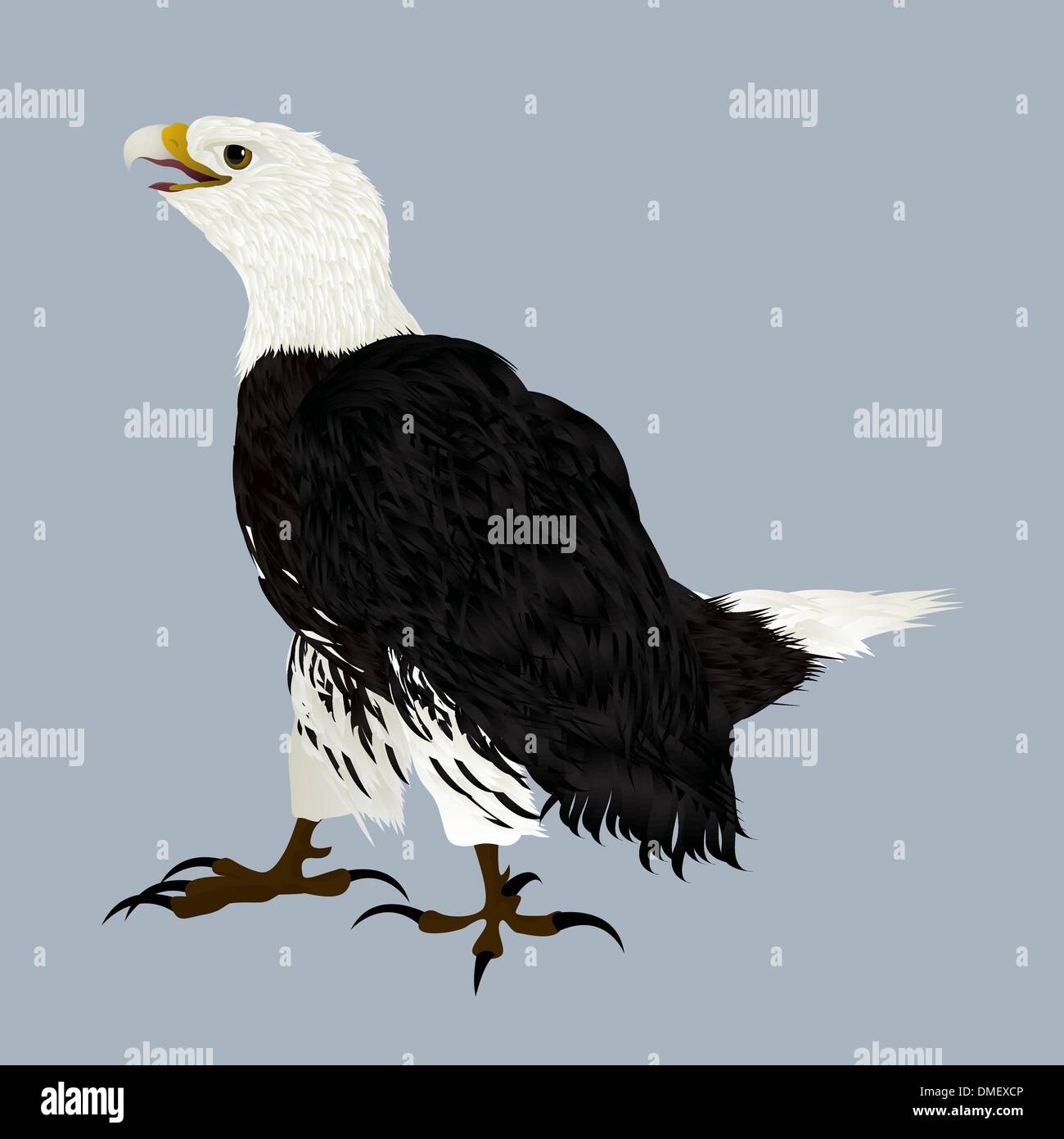 American eagle bird freedom Stock Vector Images - Alamy