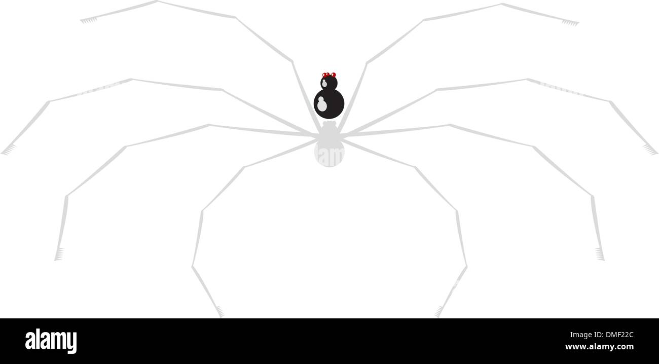 Vector illustration of a spider Stock Vector Image & Art - Alamy