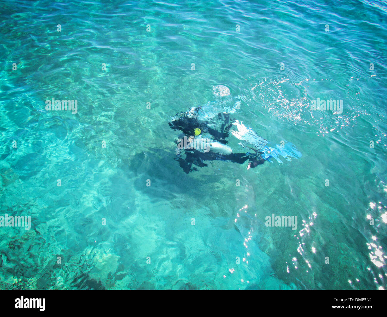 Two People Scuba Diving Under High Resolution Stock Photography and ...