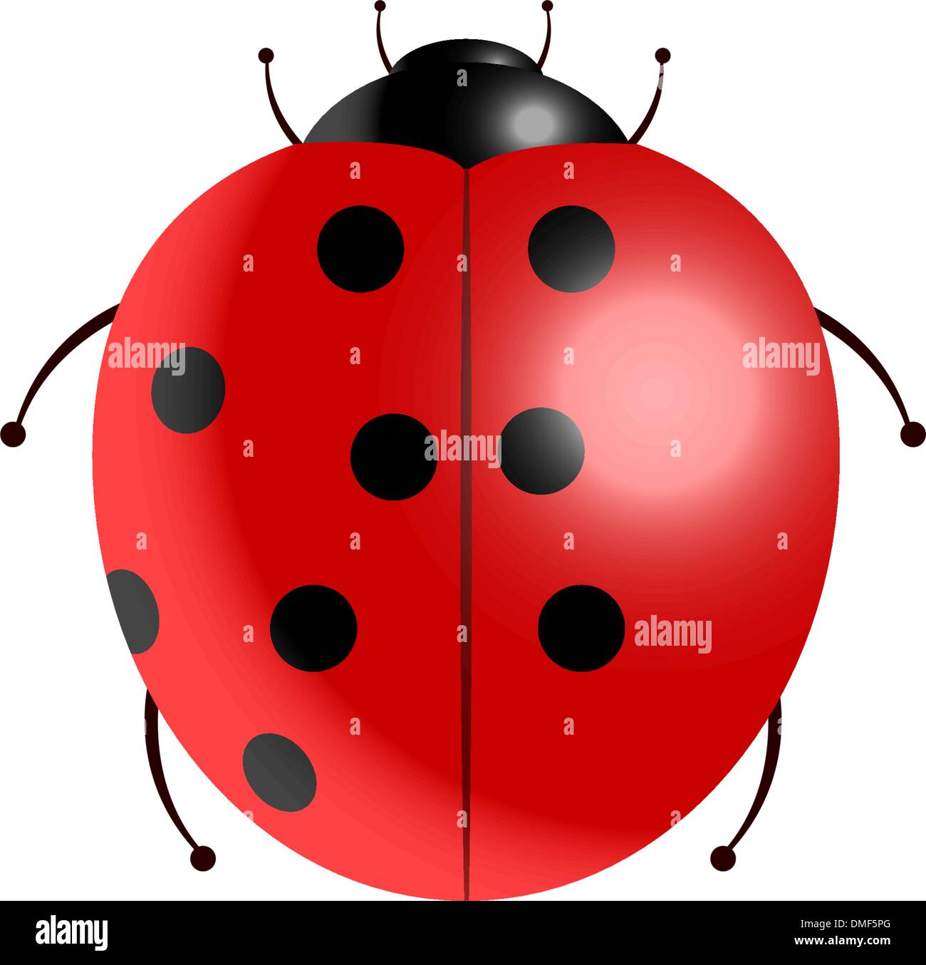 Funny ladybug vector vectors hi-res stock photography and images - Alamy