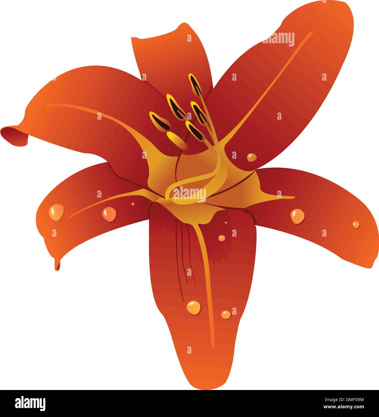 A beautiful beauty Stock Vector Images - Alamy