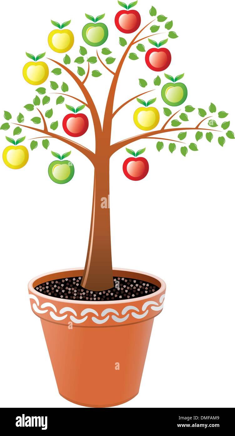 Tree pot plant in Stock Vector Images - Alamy