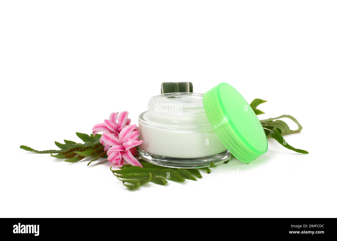 Cream green leaves Cut Out Stock Images & Pictures - Alamy