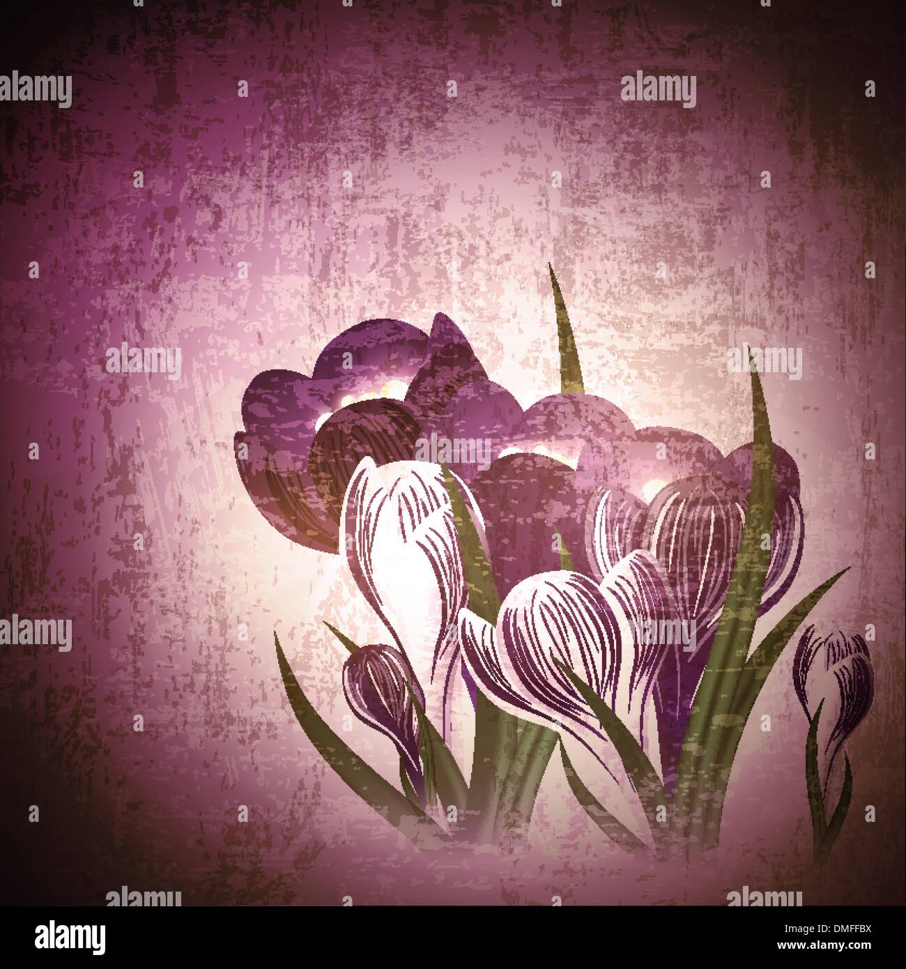 Crocus flower background Stock Vector Images - Alamy