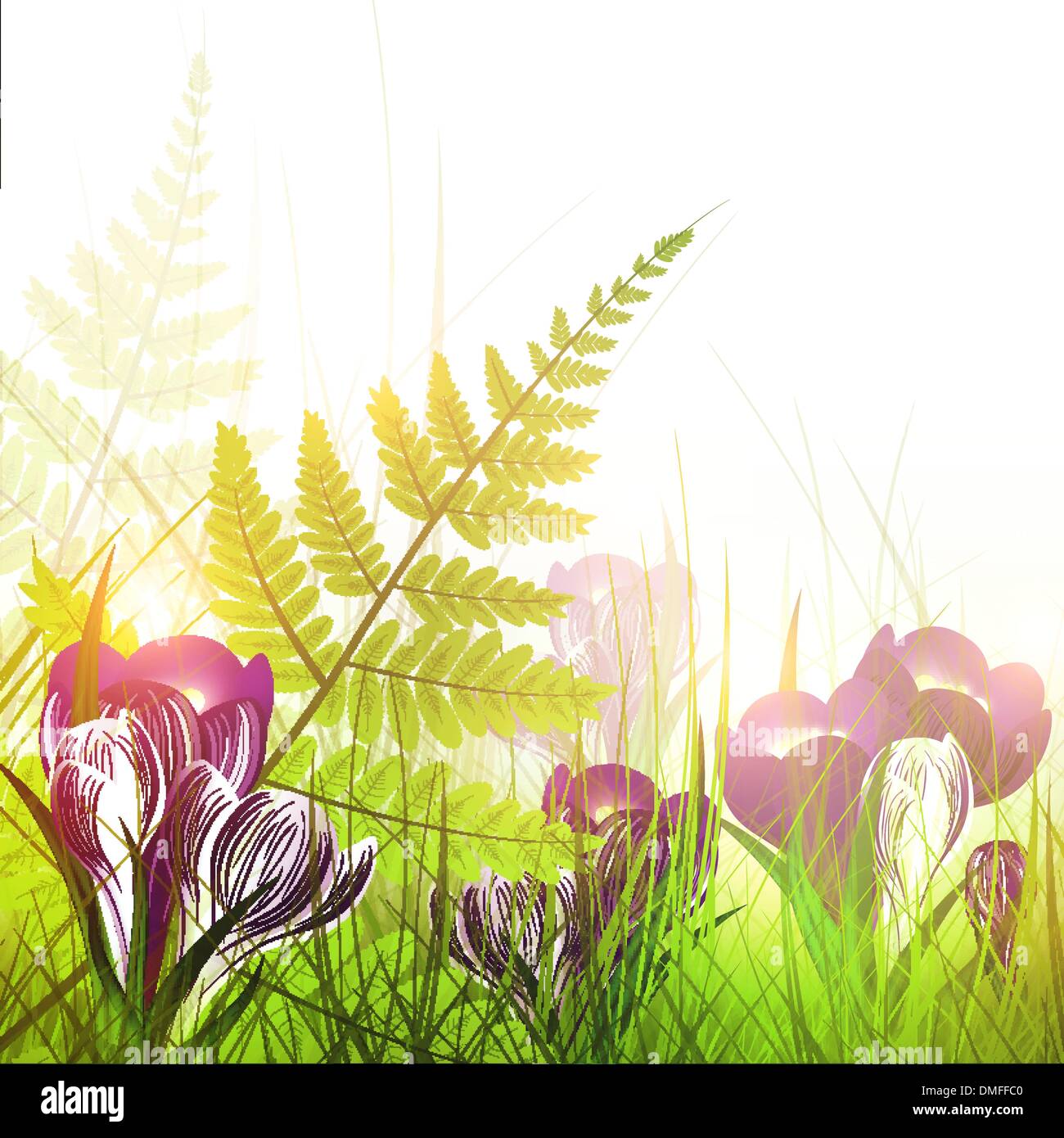 White crocus flowers blooming in Stock Vector Images - Alamy