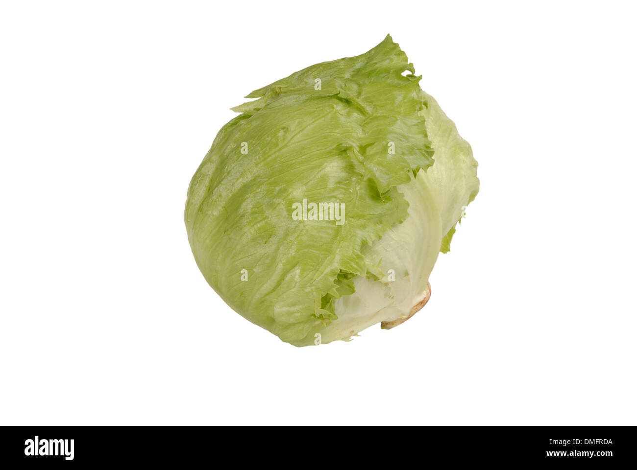 One lettuce on white background Stock Photo - Alamy