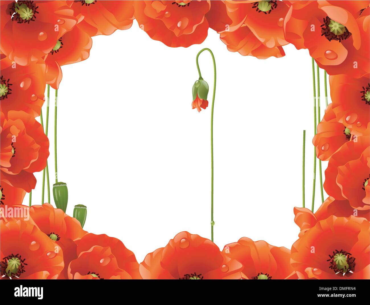 Poppy frame hi-res stock photography and images - Alamy