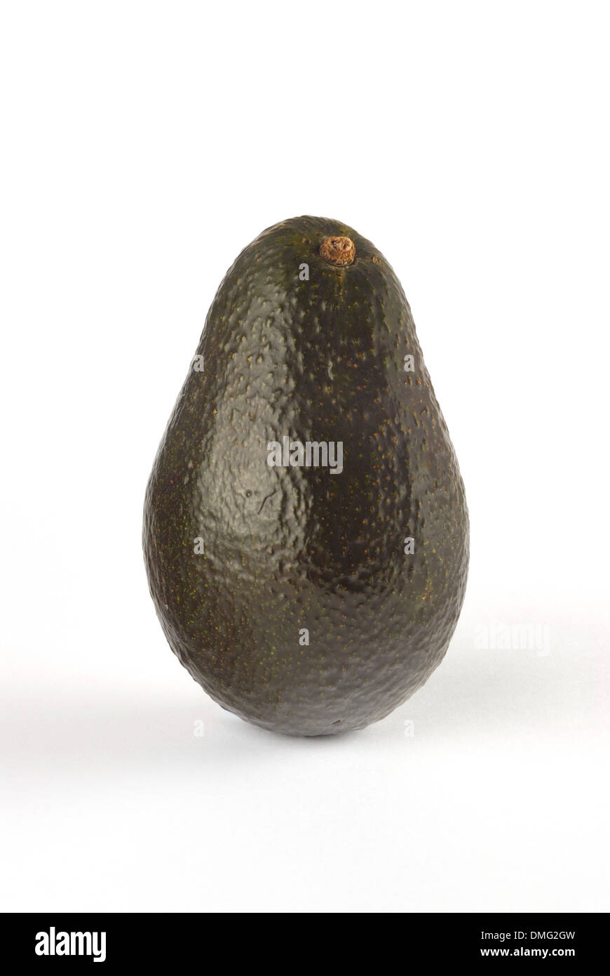 One avocado on white background Stock Photo - Alamy