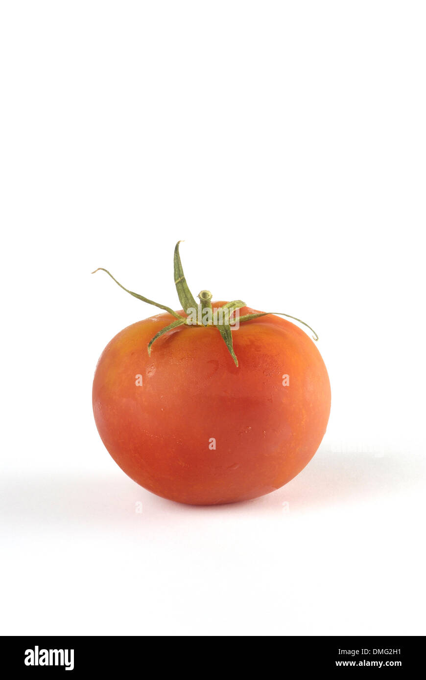 One tomato on white background Stock Photo - Alamy