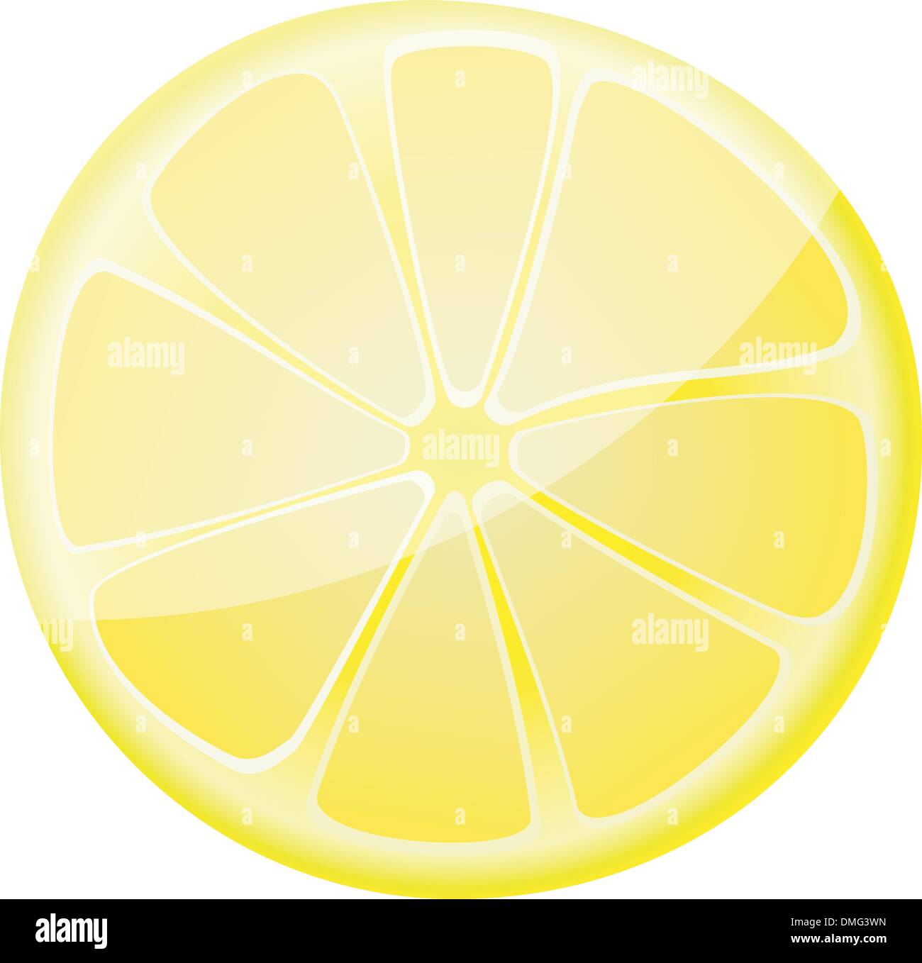 Peel slices fresh lemon Stock Vector Images - Alamy