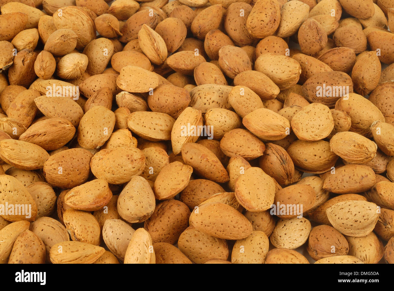 Full frame of almond shell Stock Photo - Alamy
