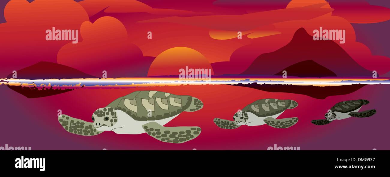 Red pink sunset sun Stock Vector Images - Alamy