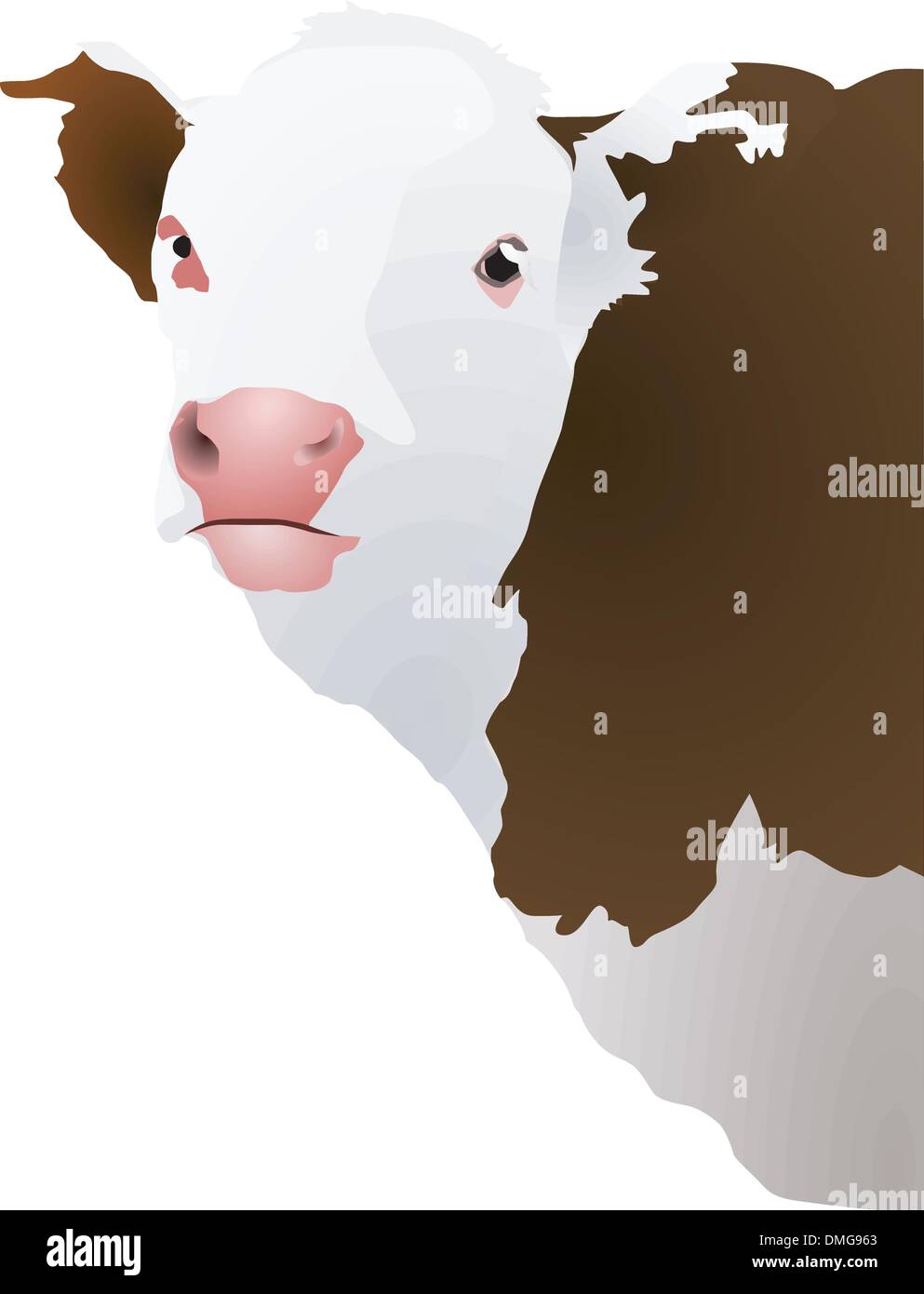 Vector illustration of a cow's head Stock Vector Image & Art - Alamy