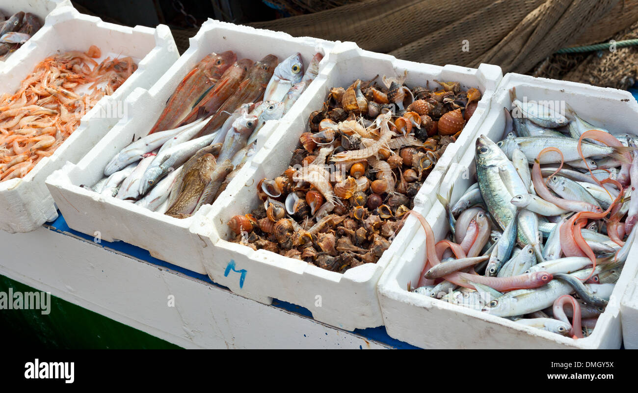 Fresh fish for sale at the market of the harbor Stock Photo - Alamy