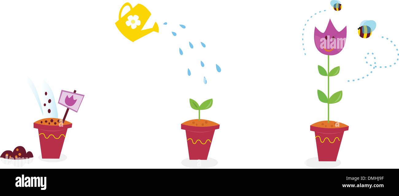 Plant growth stages plant development Stock Vector Images - Alamy